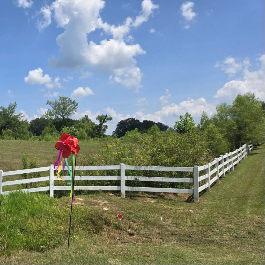 Women – Christ Covenant Reformed Church